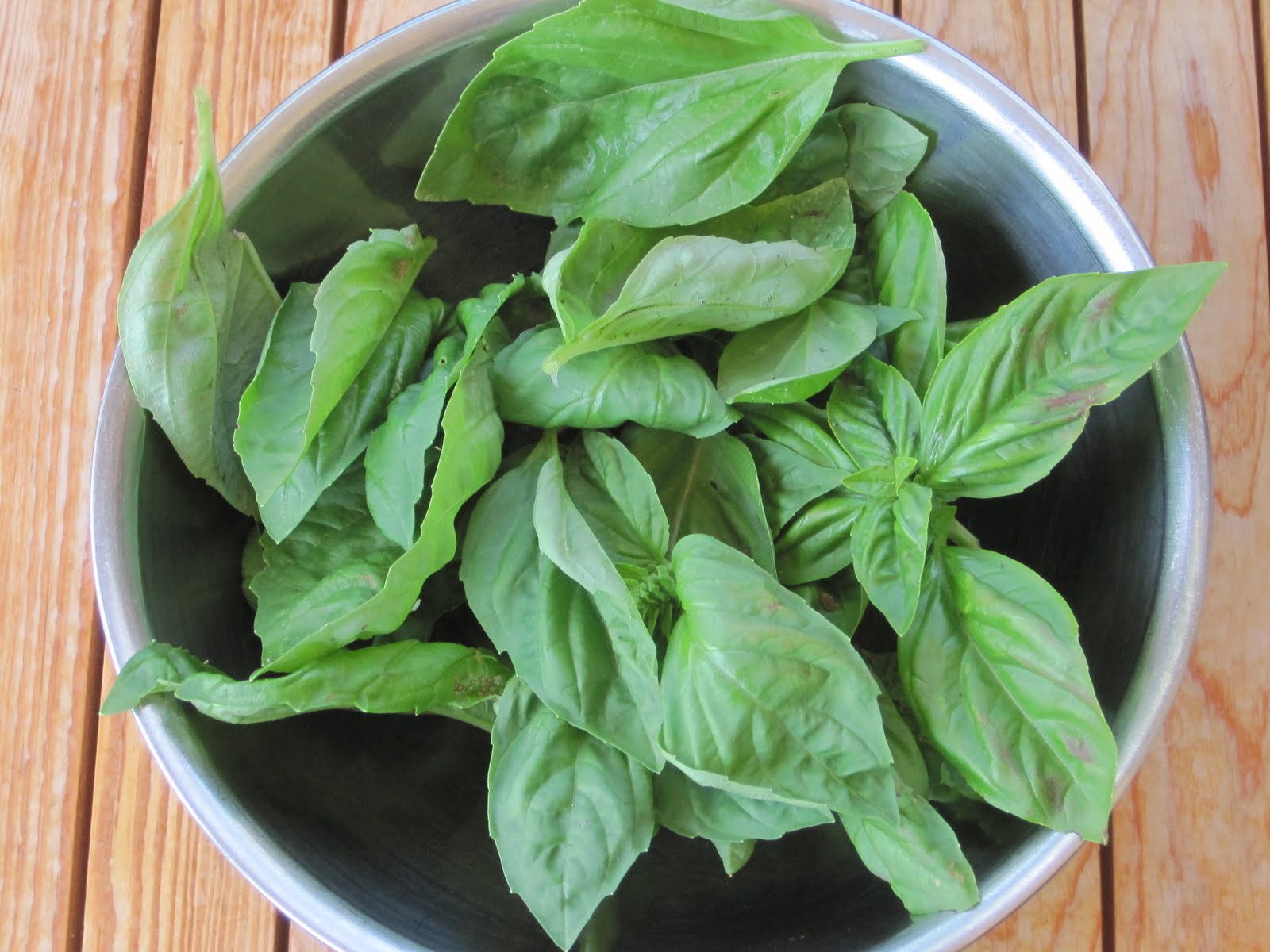 Mr. Micawber's Recipe for Happiness: Simple Pleasures: Fresh Basil