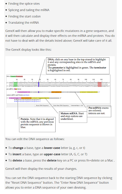 Genomic Entertainment: Software Tools that are being used for MIT ...