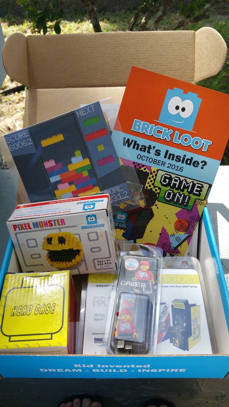 The ABCD Diaries: Holiday Gift Guide: The Hottest LEGO Subscription Box ...