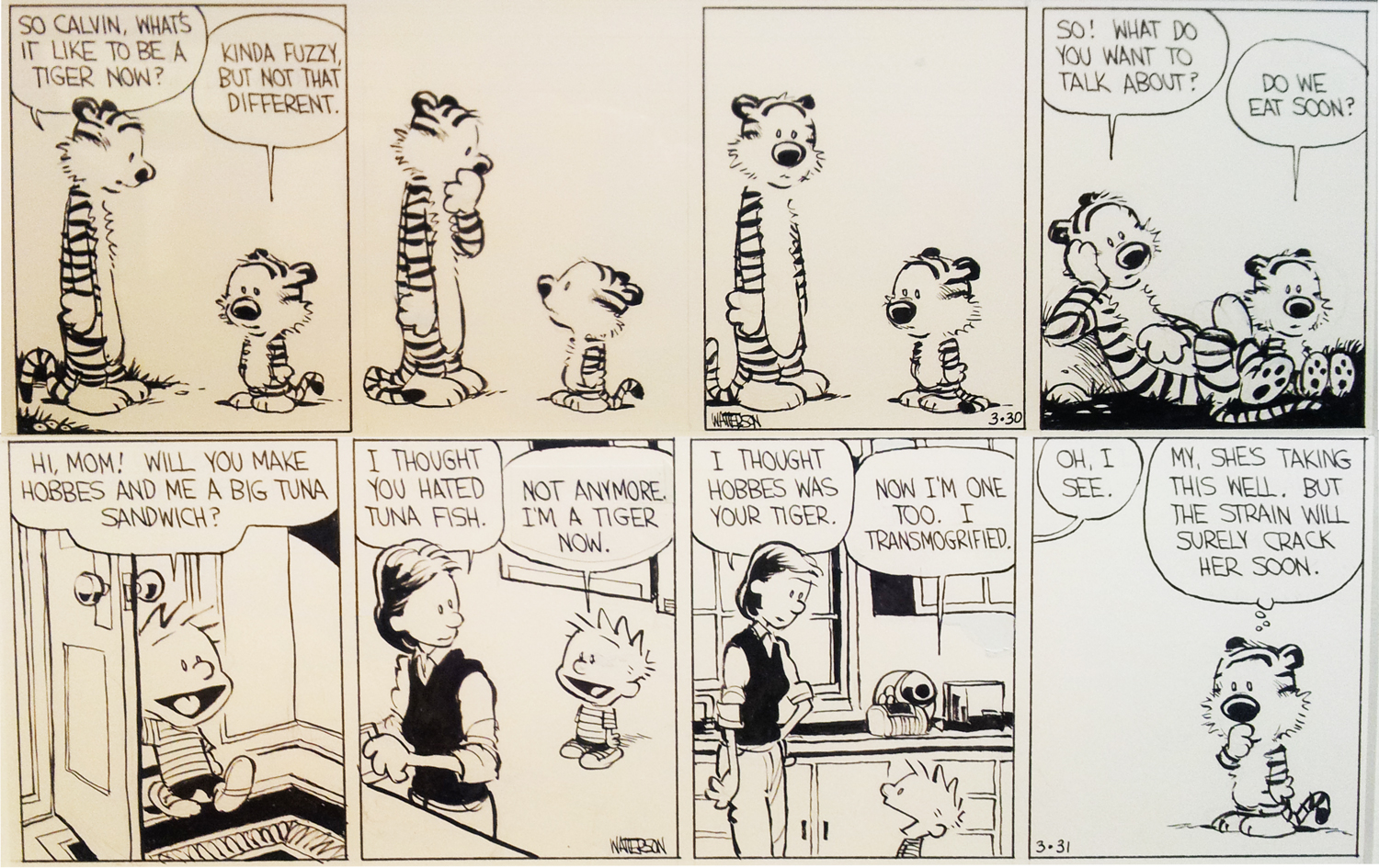 LE BLOG DE TOTOR LE MINOTAURE: BILL WATTERSON