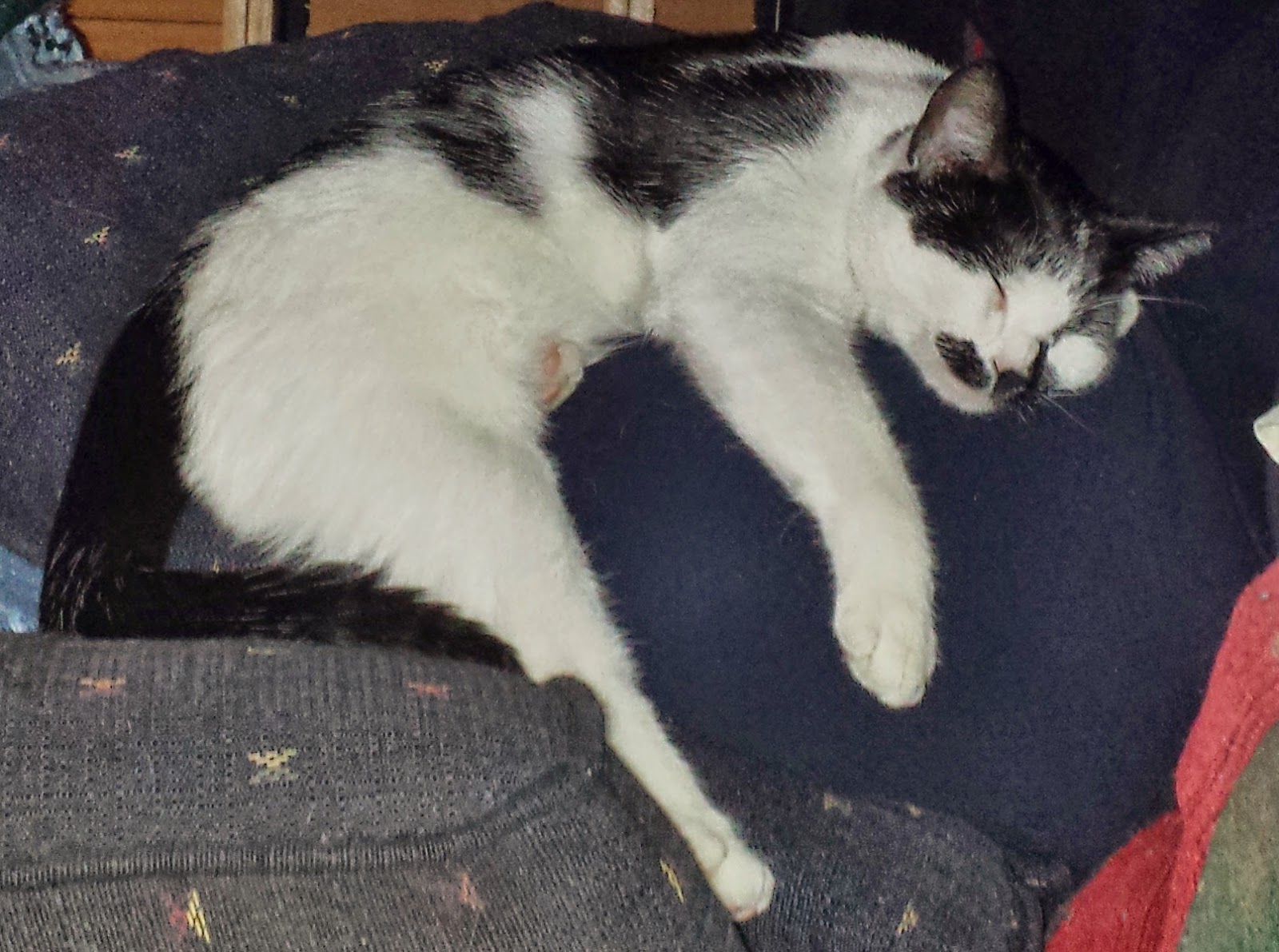 Inky Whisker's Musings: #TGPNPC ~ Use the Most Untrieds in One Mani!