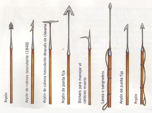 Por un mundo mejor: LOS ARPONES DE CANETTI.-