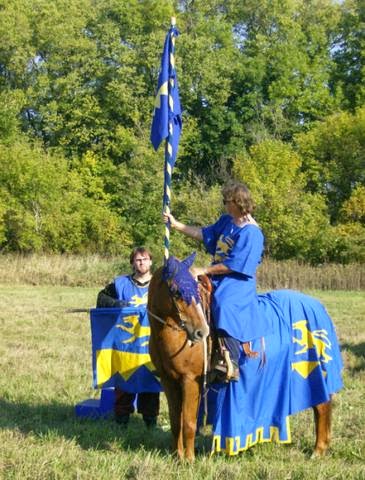 Weiner-Gozen's Blog Page: Display of Barding Styles - Introduction and ...