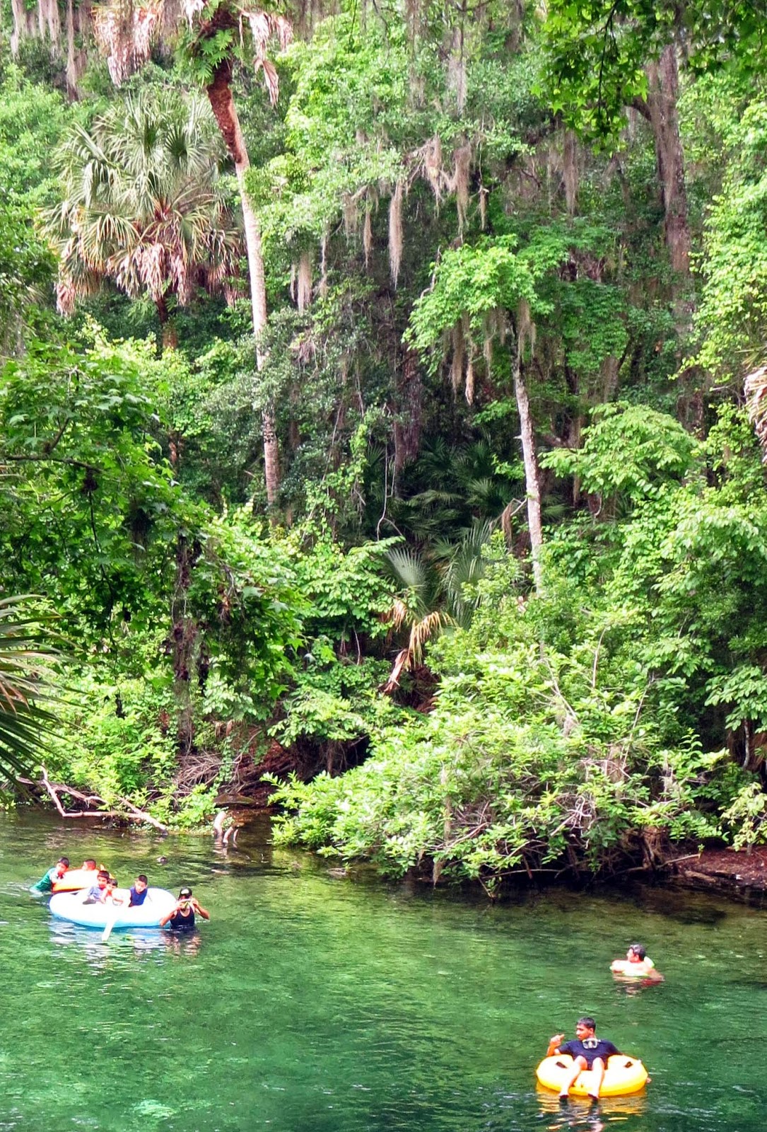 Trip Report: Blue Springs State Park Part 2