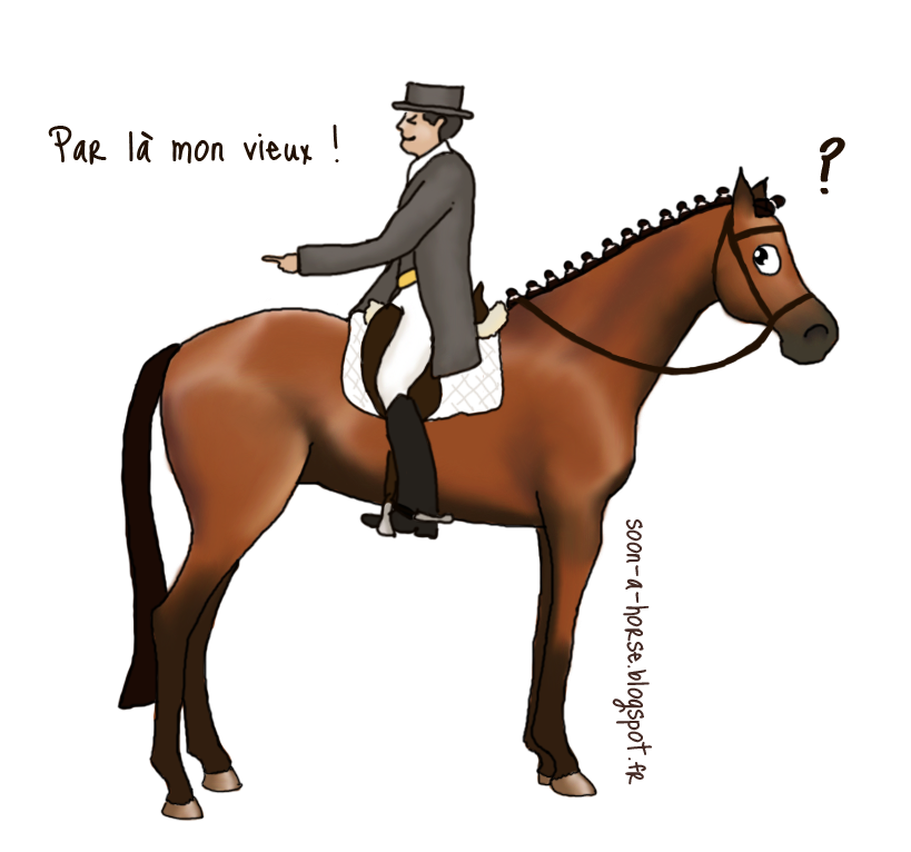 Soon a horse: Recule Hercule