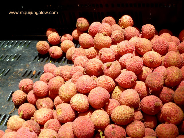 Maui Jungalow: Lychee Season and a Story