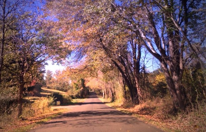 Cordials, Cocktails and Fall Colors - Grapes & Grains