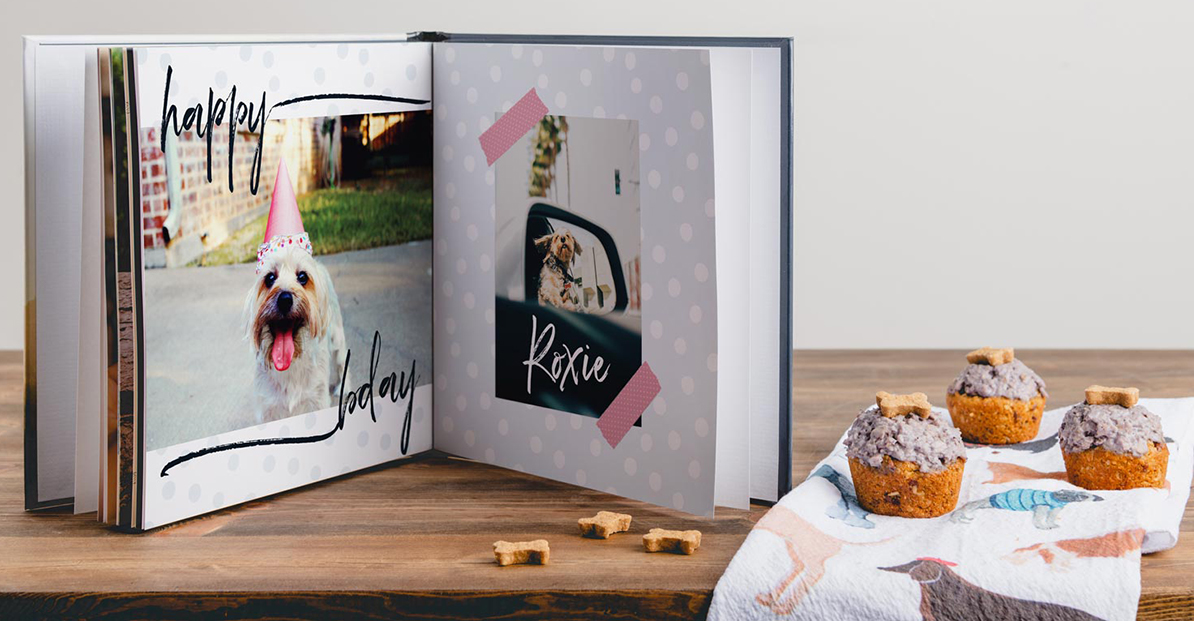 Dog Lovers Book Club - Christmas Special 2018 | Australian Dog Lover