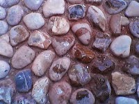 14 Jenis Batu Koral Sikat - JASA BATU SIKAT