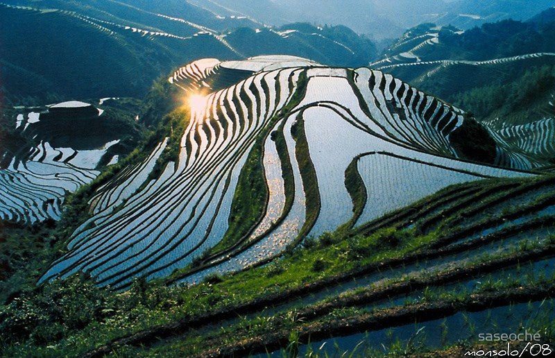 Amazing Cities: The Banaue Rice Terraces, Philippines