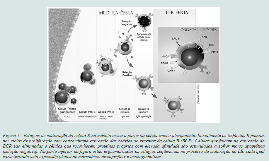 Colapso do Modelo Civilizatório Baseado no Egoísmo Humano: Linfoma de ...