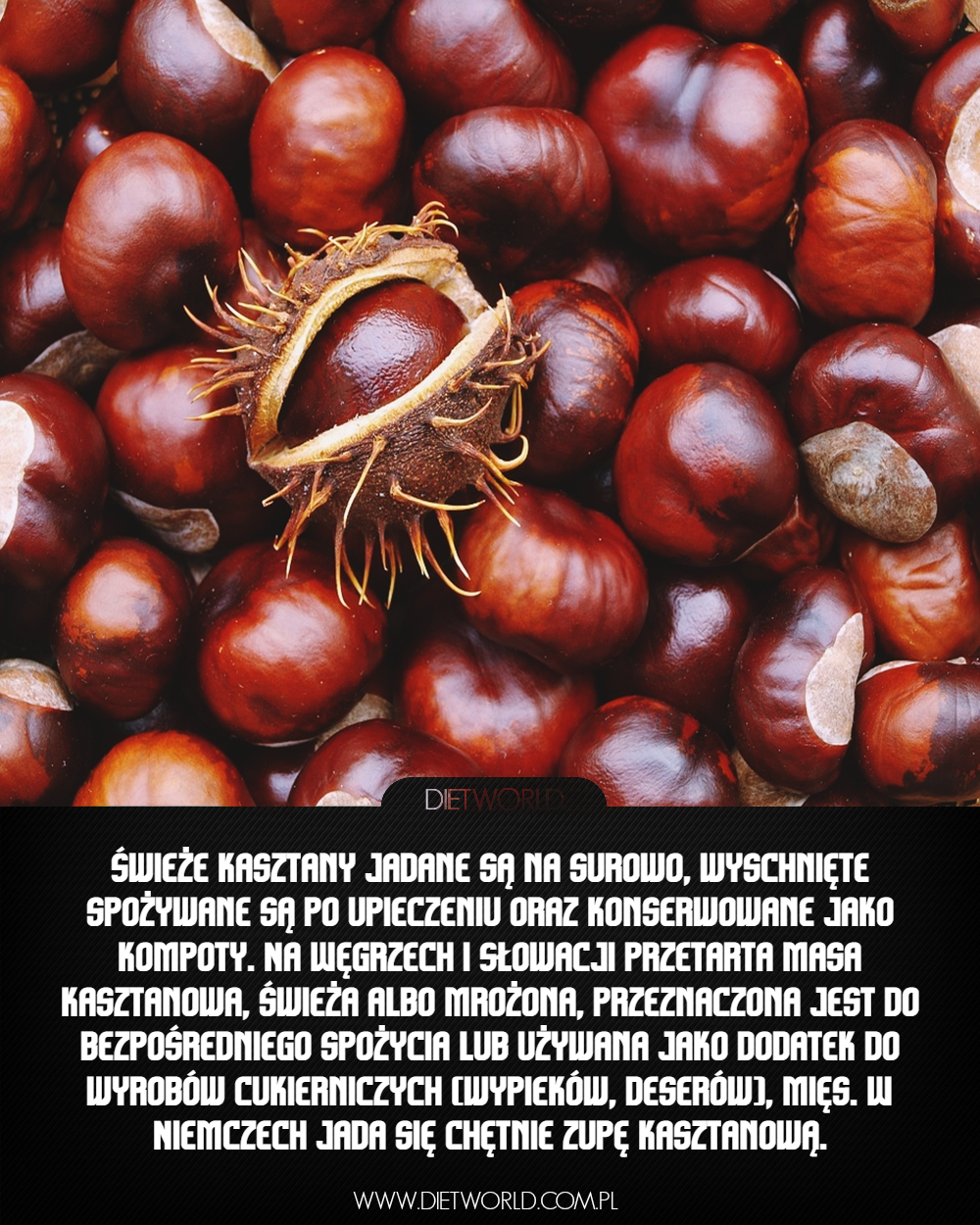 dietworld: ŚWIEŻE KASZTANY JADANE SĄ NA SUROWO