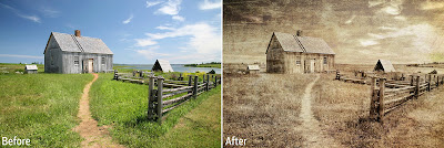 The FACzen Image: 2015