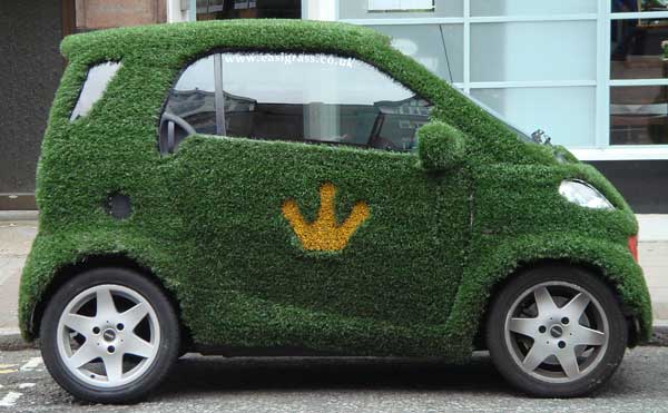Amazing Grass - Covered Cars ~ Alpin Funny Picture!!
