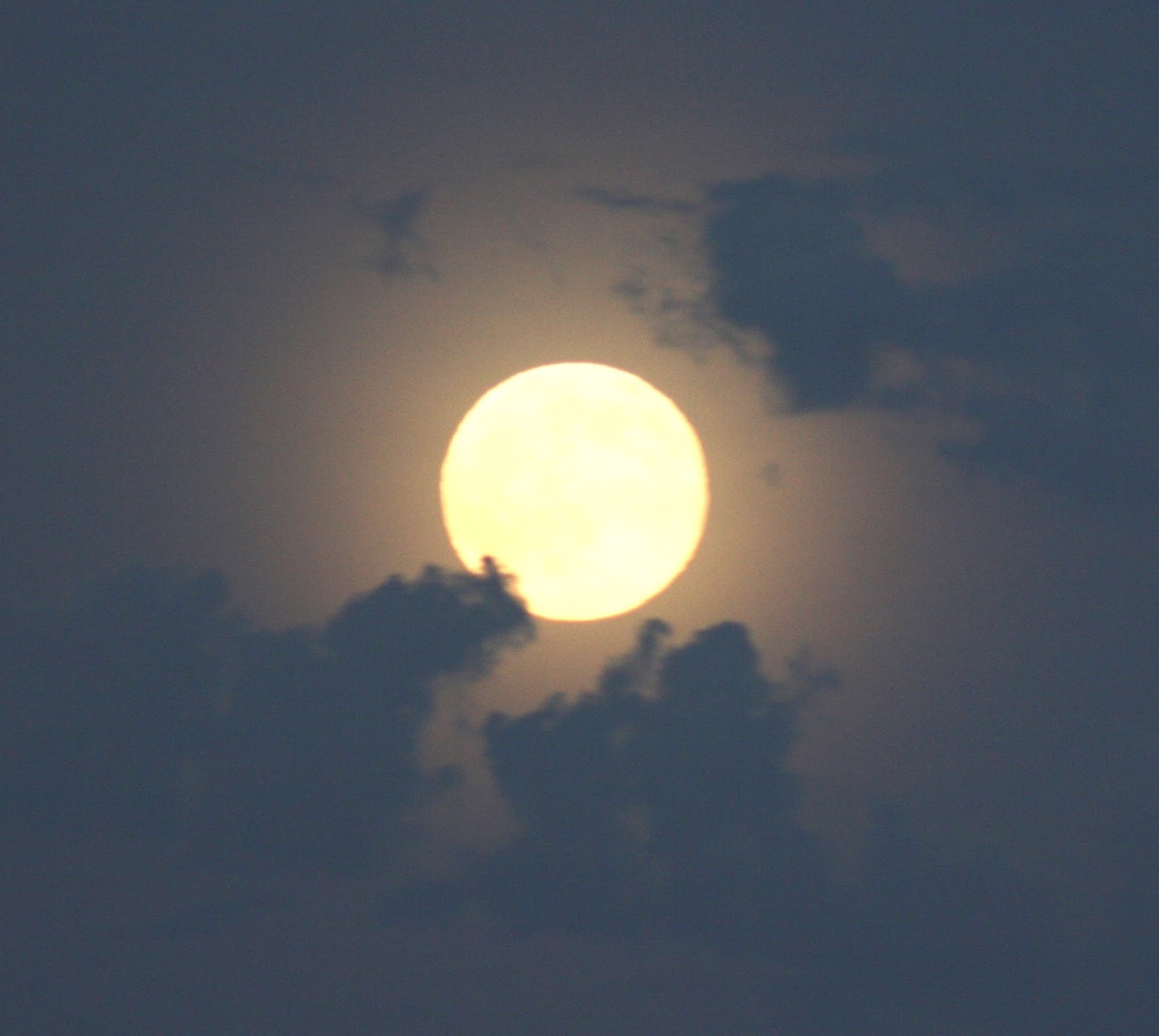 Our Garden Journal: The Magnificent Moon - Part 1