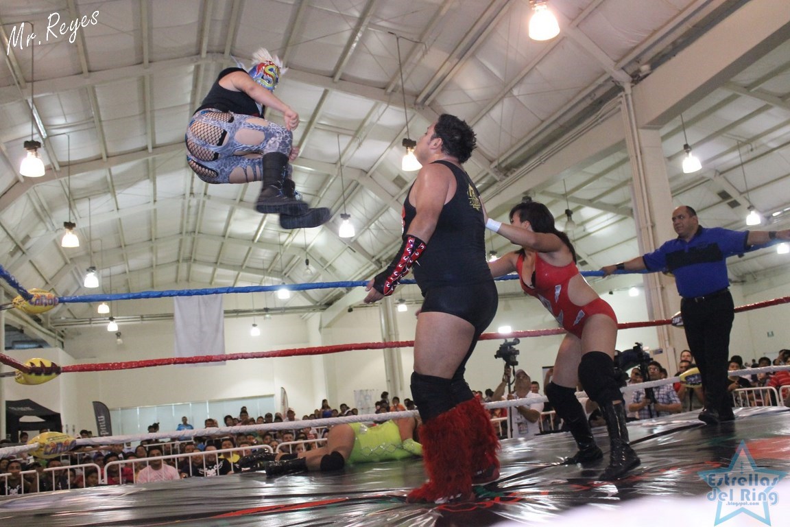 ESTRELLAS DEL RING.: El Consejo AAA derroto a los American Wolvies y Tomahawk en Mérida.