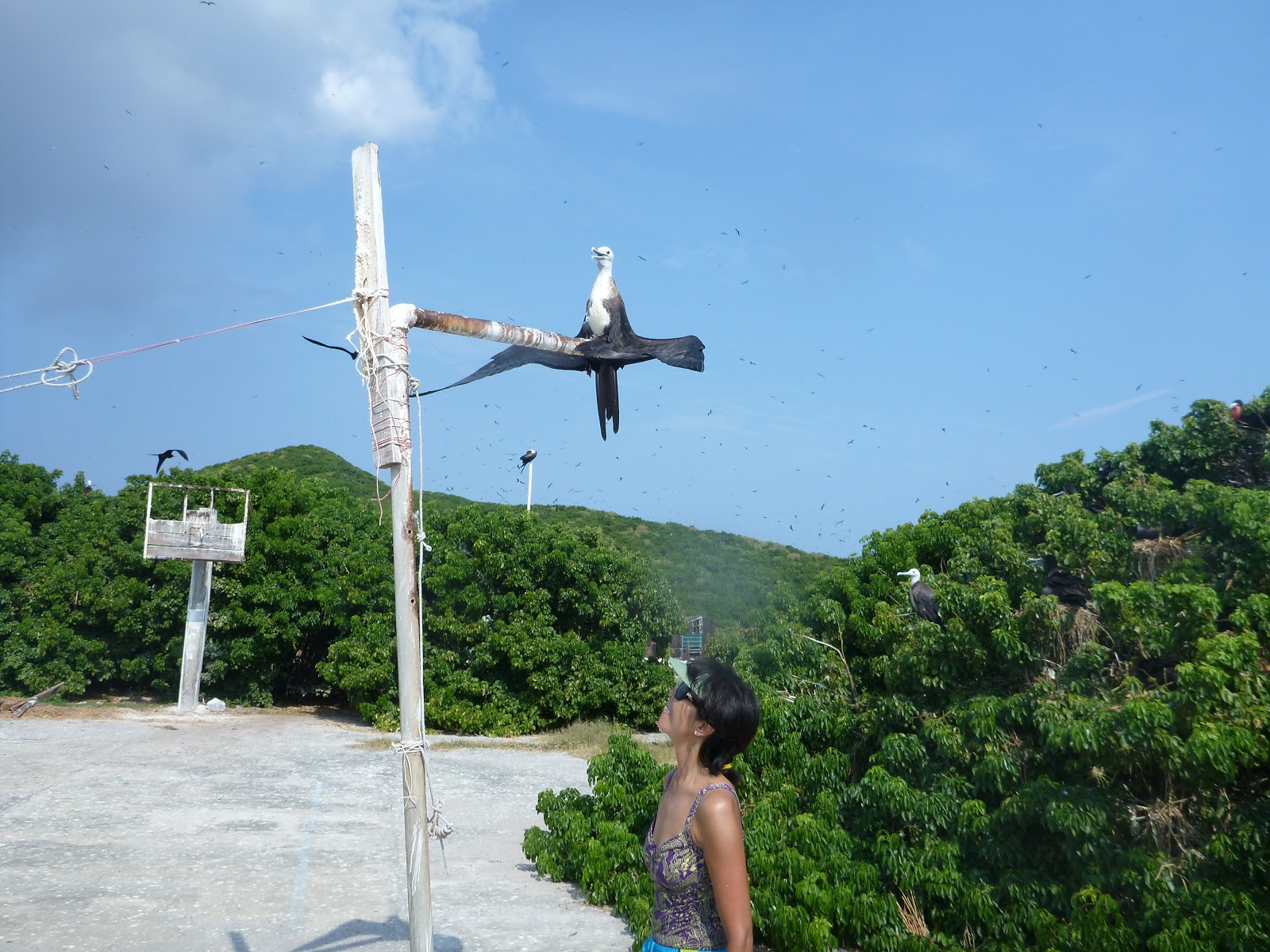 shindigsailing: Isla Isabel