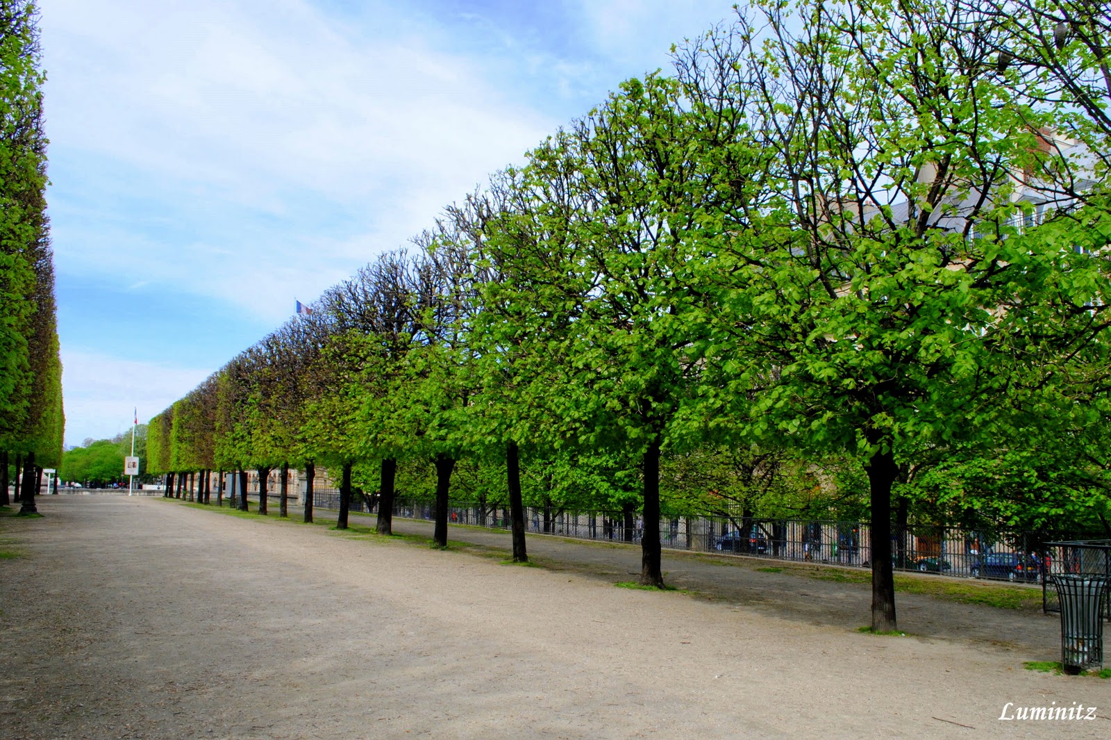 Luminitz Photos: Verde de Paris