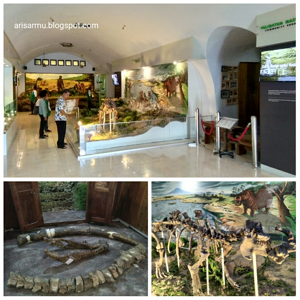 Sangiran Museum, Sragen: Early Man Site - UNESCO World Heritage Centre