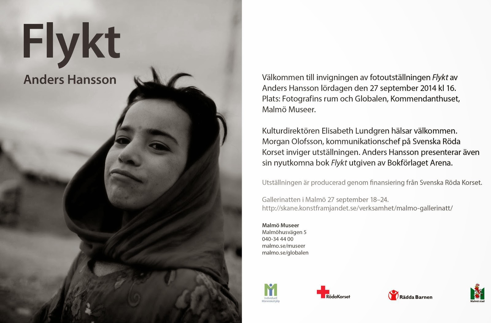 Daniel Nilsson: FLYKT - Anders Hansson