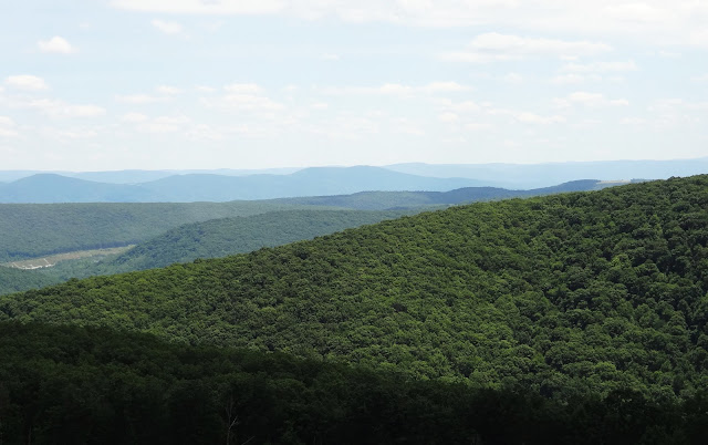 Live and Learn-Toss and Turn: W is for Windmills
