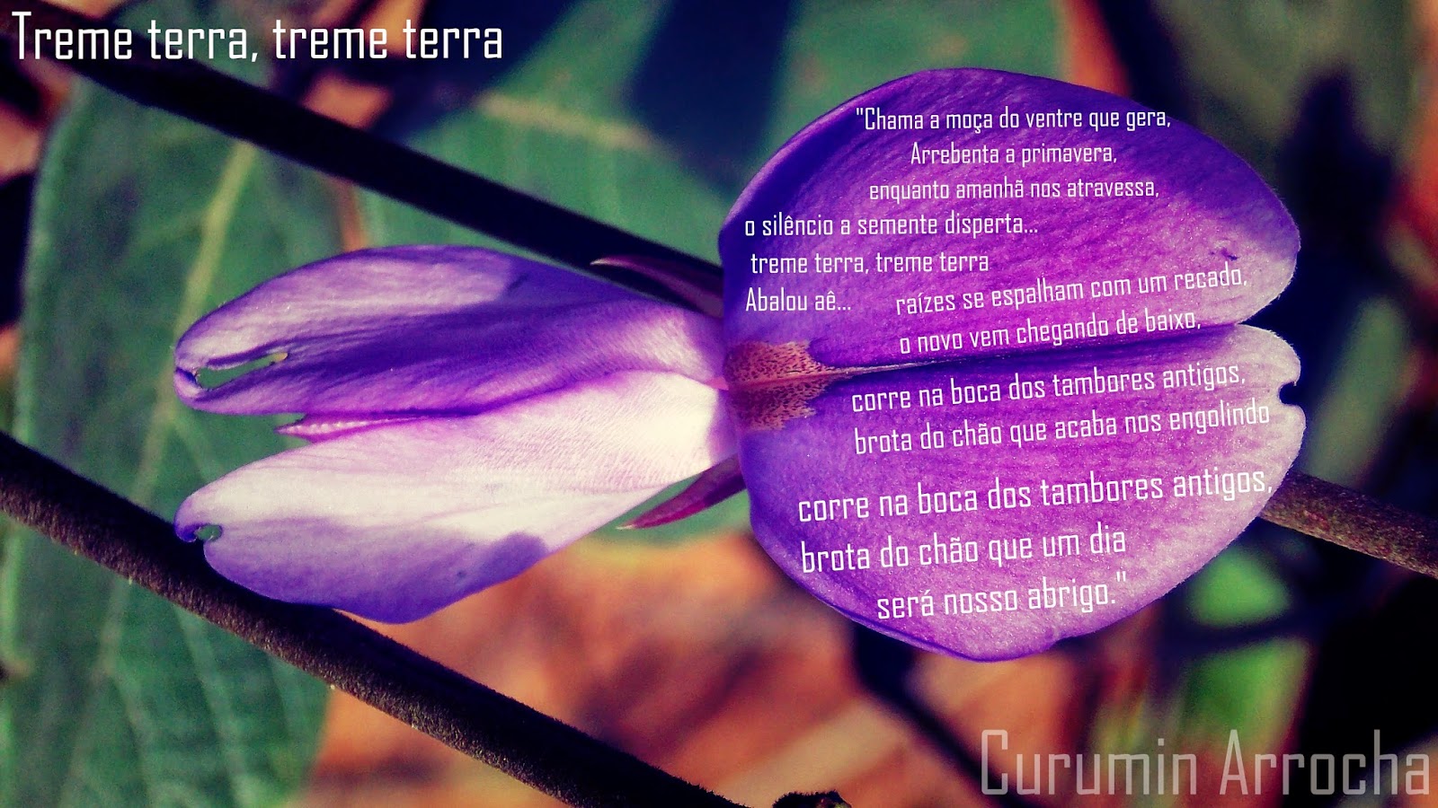 AgroBonômica: O que é JUQUIRA CANDIRÚ Satyagraha?