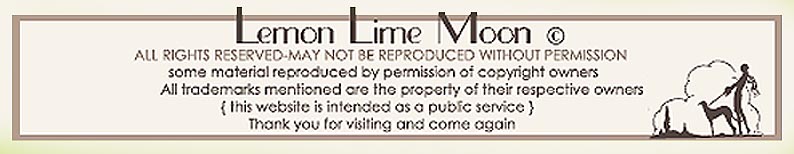 Lemon Lime Moon: August 2013