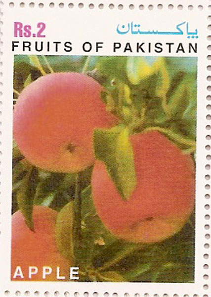 My Stamps Collection: Stamps of Pakistan