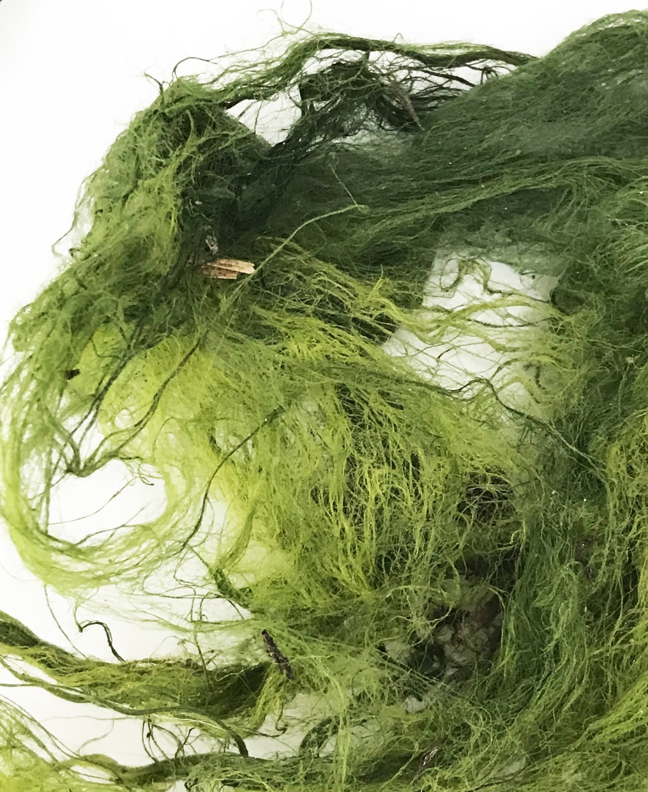 DEBORAH WEIR ••• FiberFly Textile Art: Pond Algae!!