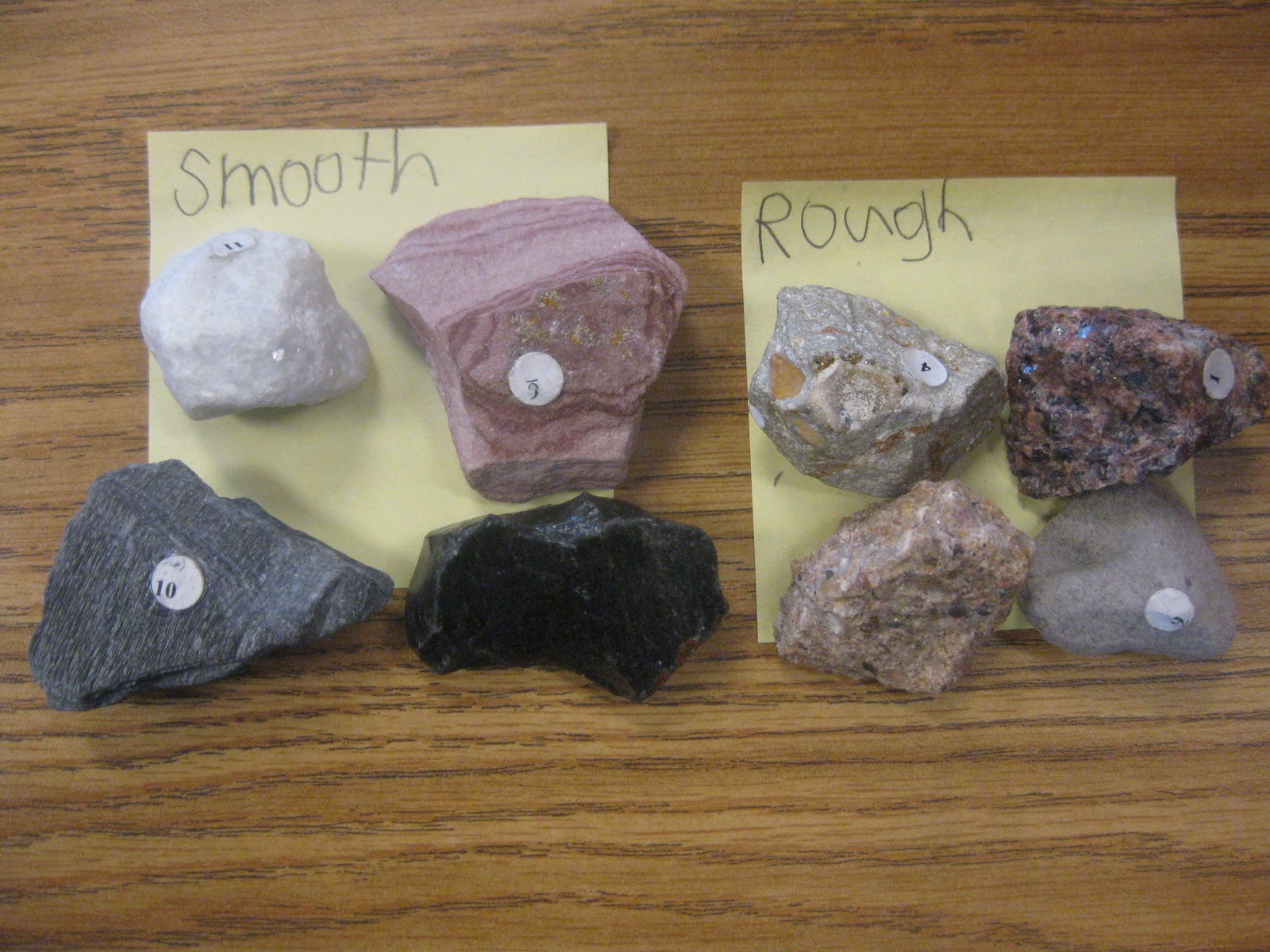 3rd Grade with Ms. G: Rock Collection Project