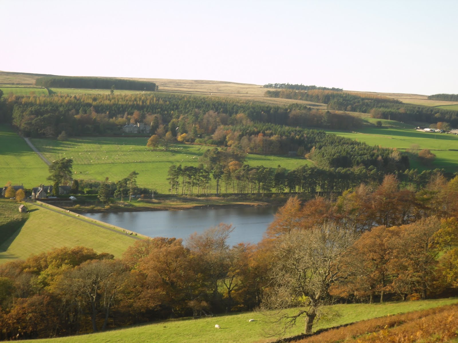 Rambling Nana: Wolsingham, Tunstall Reservoir Circular