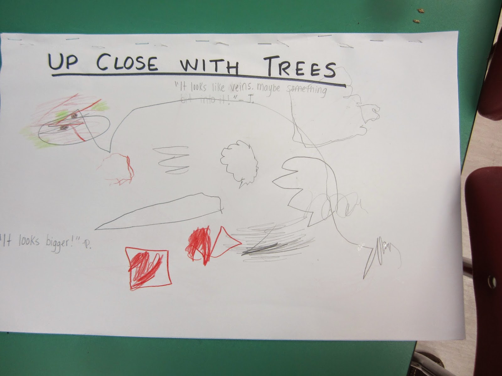 Fall Creek Public Library: Stories to Tell: Up Close with Trees
