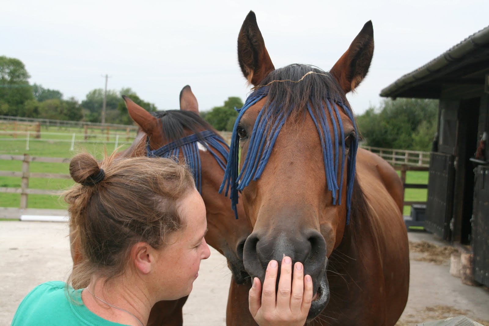 TRAKEHNERS CAN JUMP: July 2011