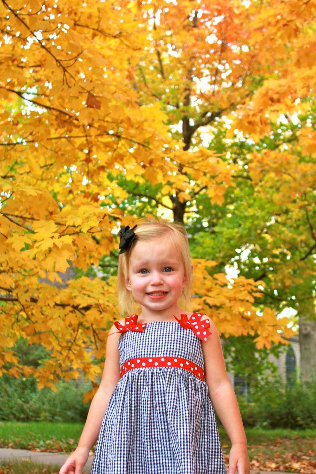 P N K: Mini Fall Photo Shoots