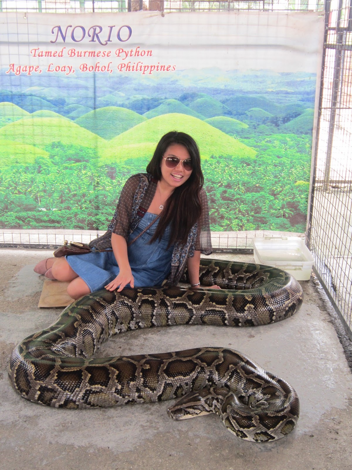 Sand Under My Feet: LONG OVERDUE POST: CEBU-BOHOL TRIPS PART 2