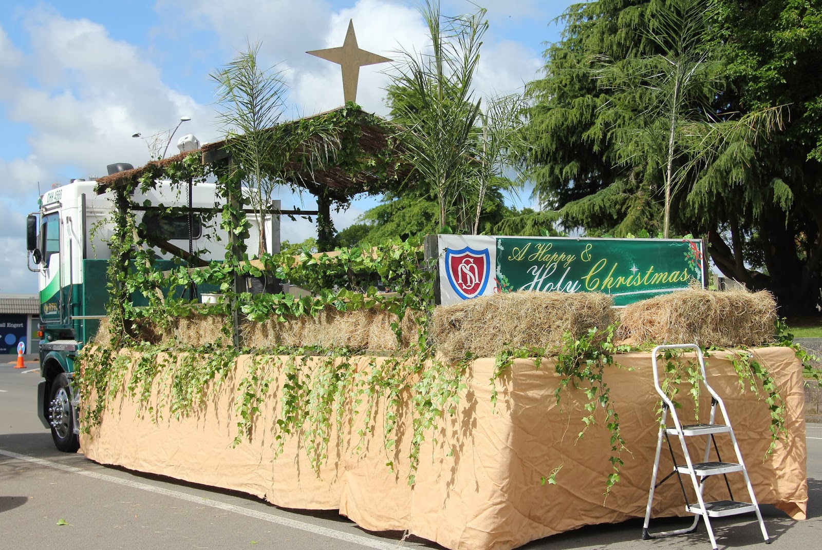 Rotorua Artist Janet Keen's Photography, Mosaics, Paintings & Writing ...