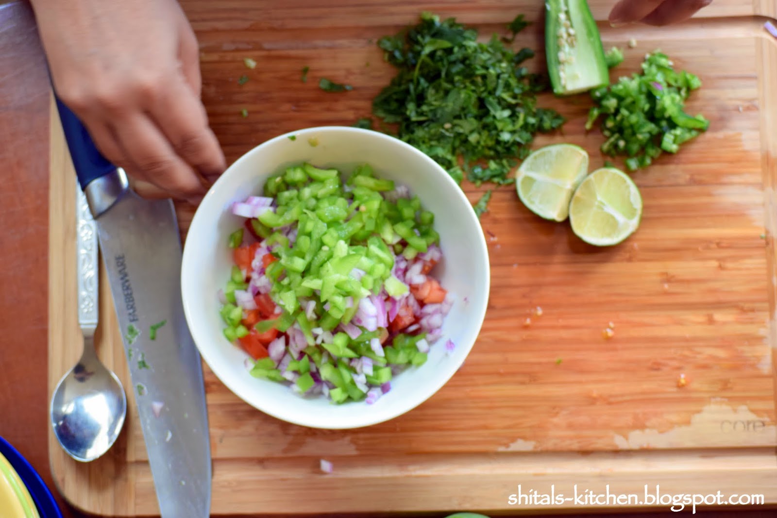 Shital's-Kitchen: Burrito