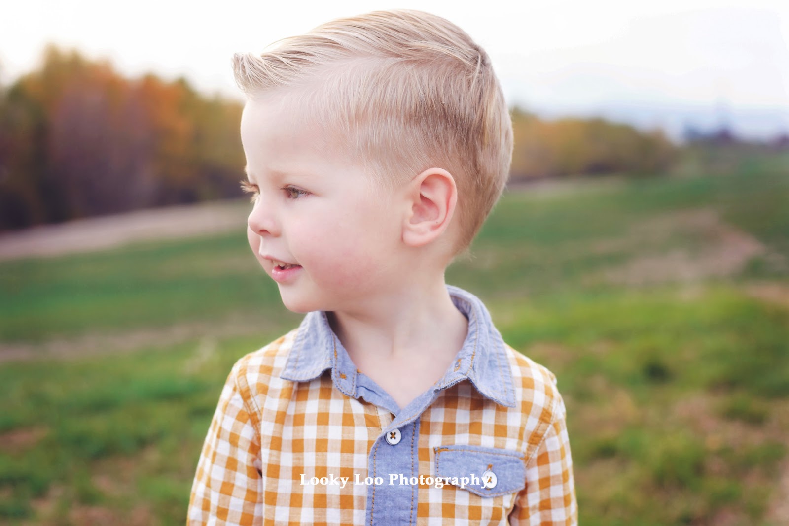 Looky Loo Photography