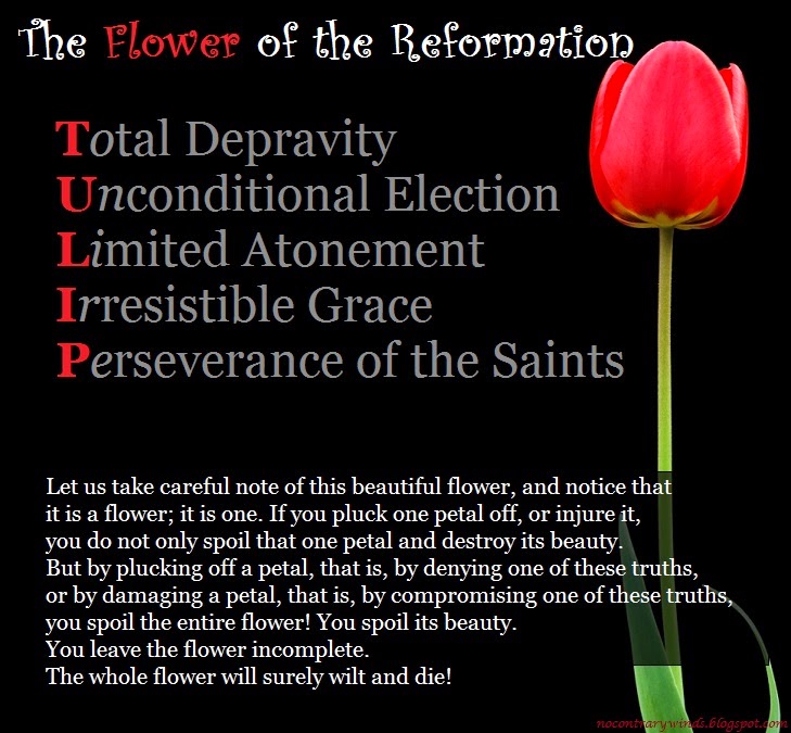 A Reformed Notebook: Our Reformed Heritage