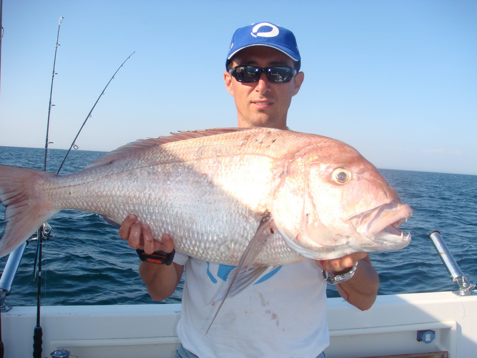 PESCA CINTINA: La temporada se tiñe de rosa, pargos, pargos y más pargos