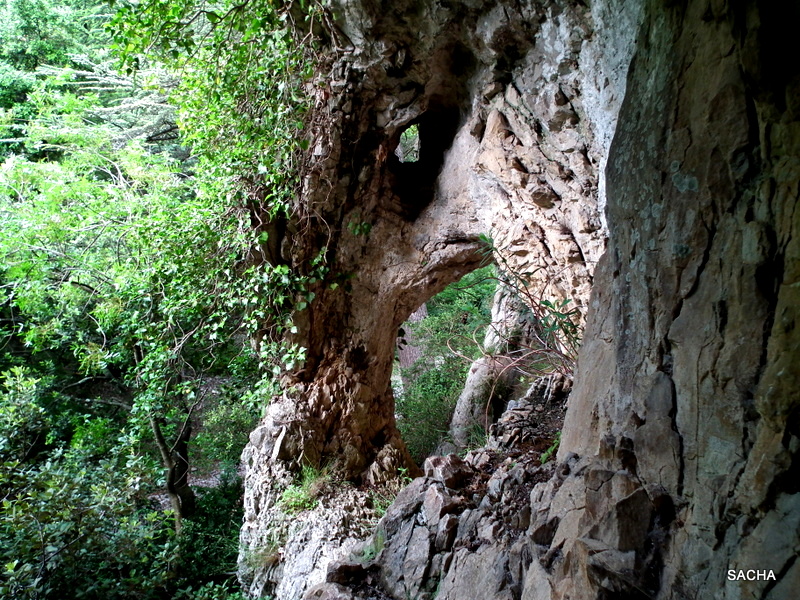 Un jour....Une photo !: Combe Vidauque : grotte tunnel , roche percée ...