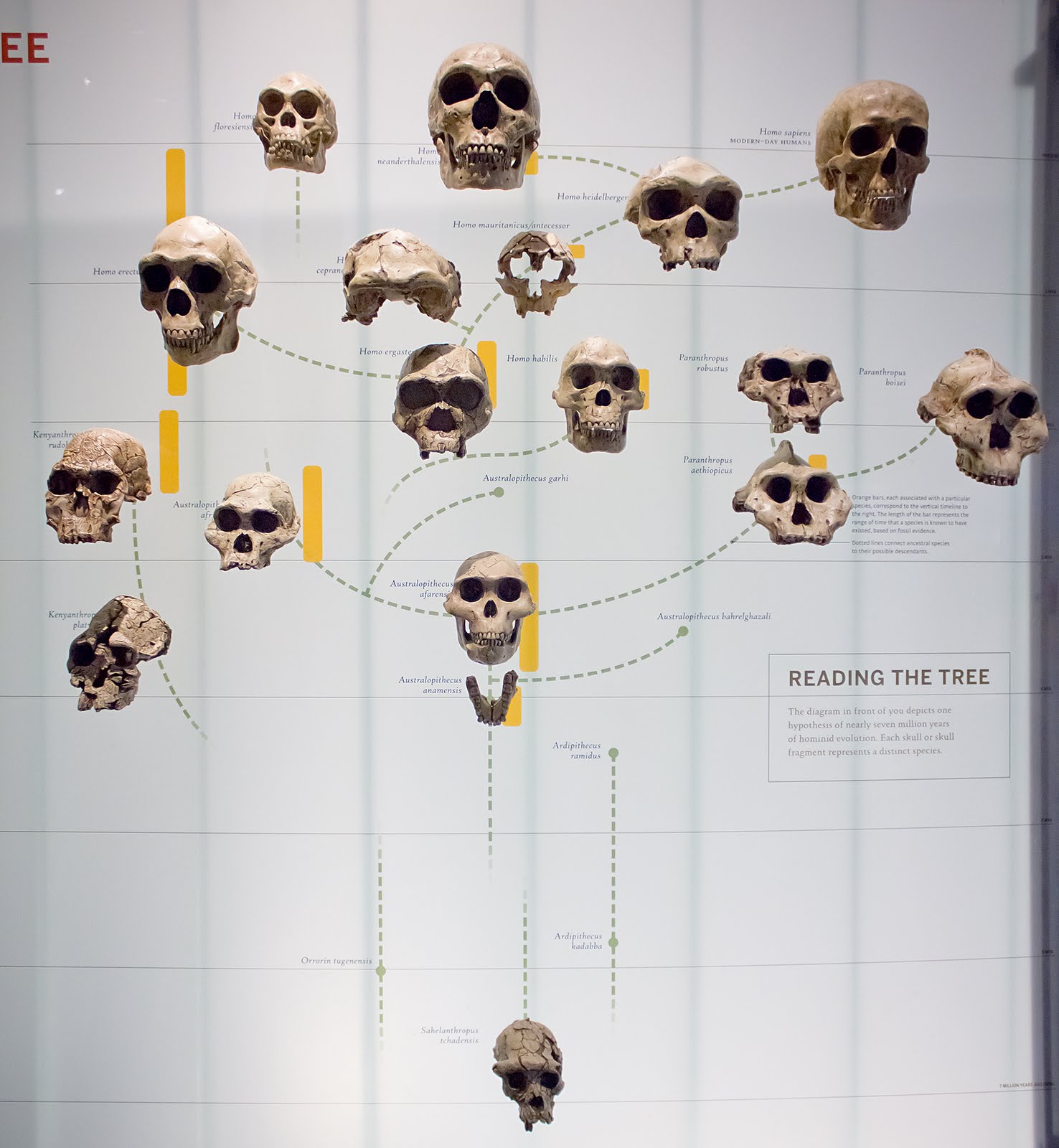 Art by Jason Juan: Our Family Tree