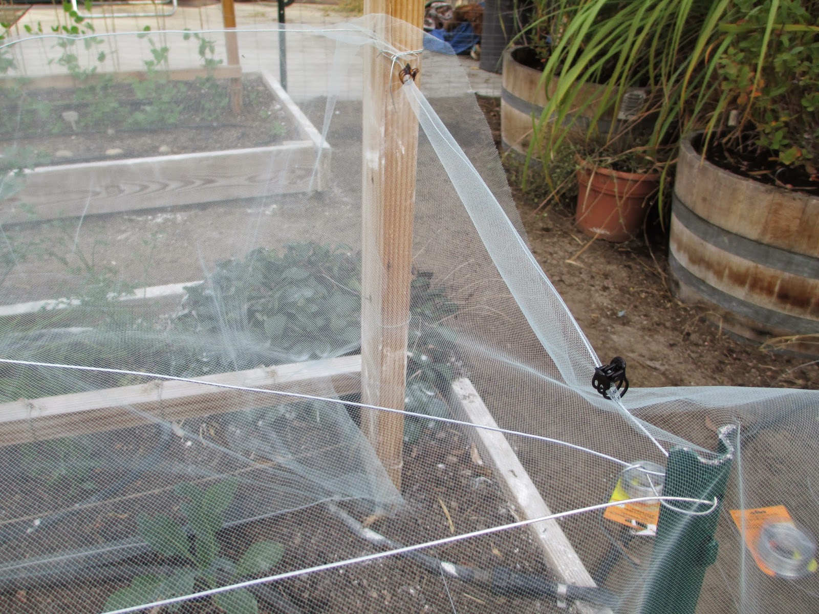 Andie's Way: Making Bigger Cabbage Row Covers