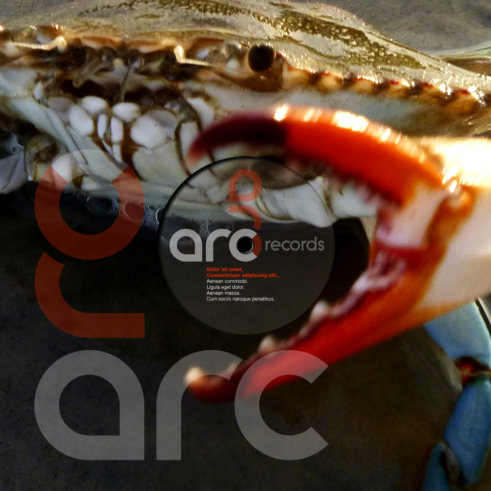 Prawnsoda: Arc Records