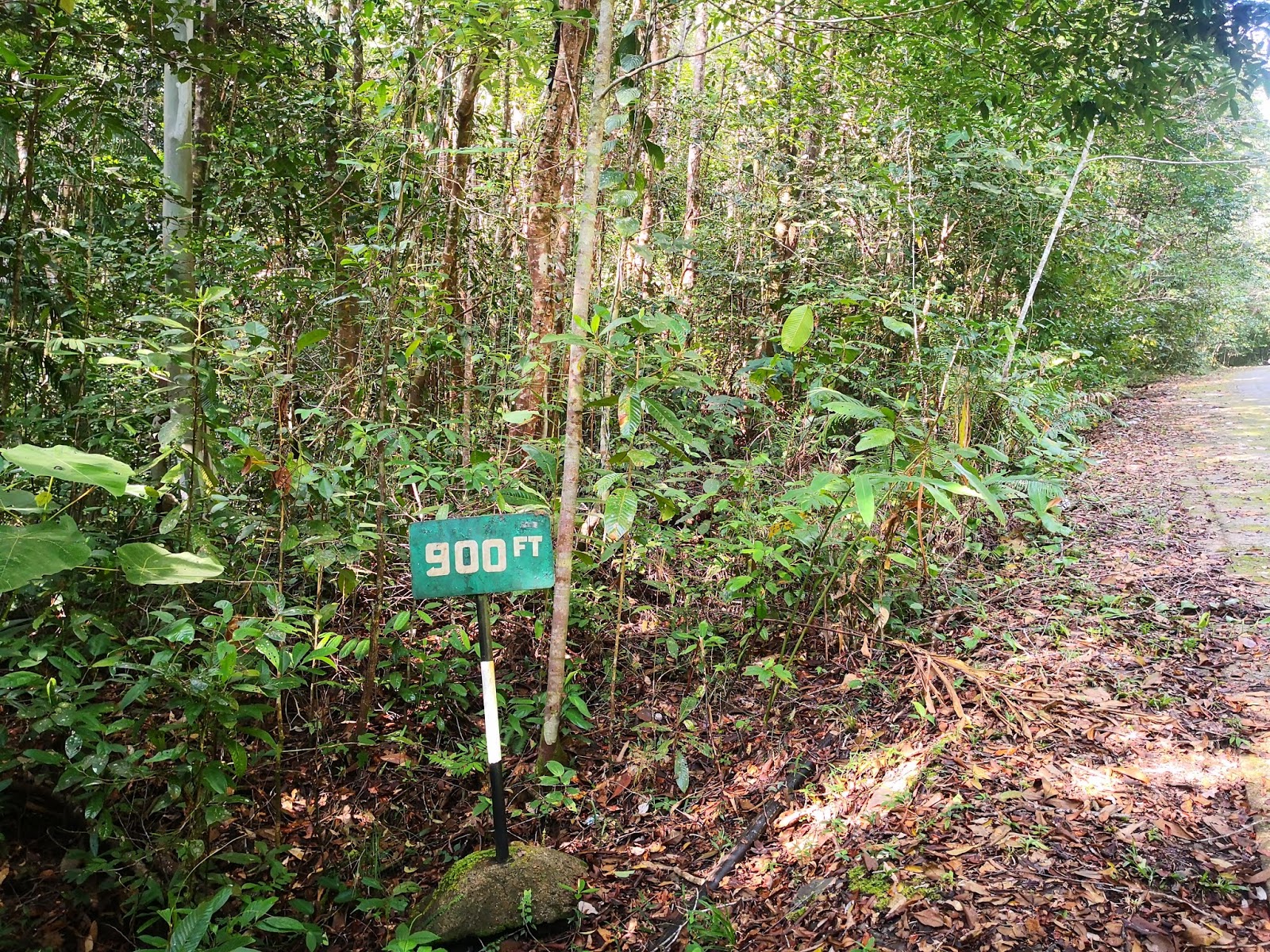 AZLAN RUMADI: HUJUNG MINGGU HIKING DI GUNUNG SERAPI, KUBAH NATIONAL ...