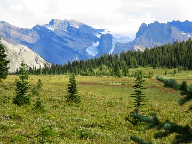 Dollop of Cream: mt. harris trail mix