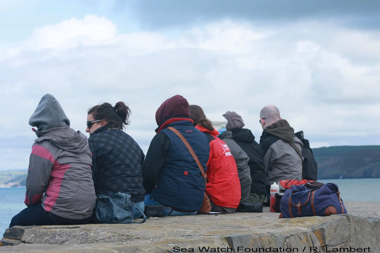 Sea Watch Foundation: The Beginning, Sea Watch 2012…