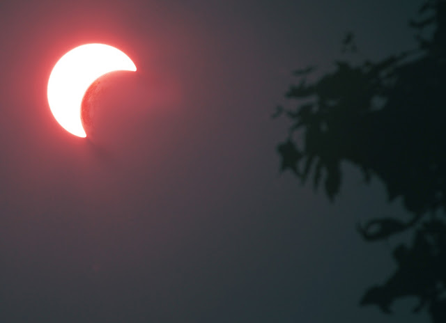 ApertureLads: 5/20/12 Southern California Partial Eclipse
