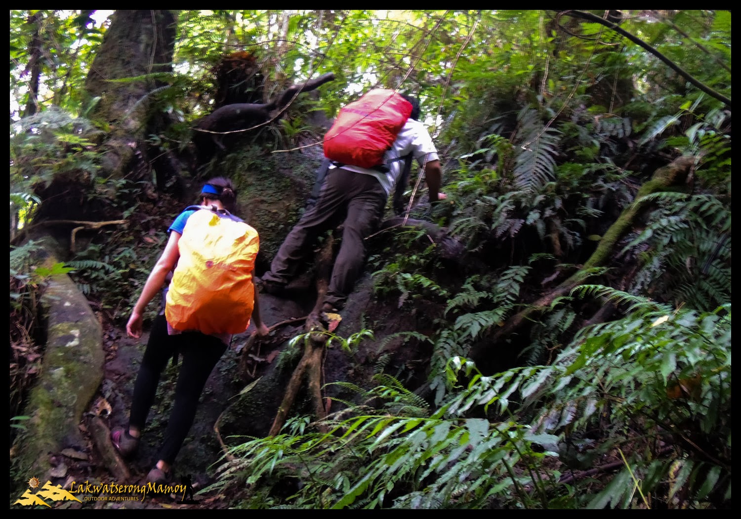 One Tough Experience Climbing Mt. Matutum ~ Lakwatserong Mamoy