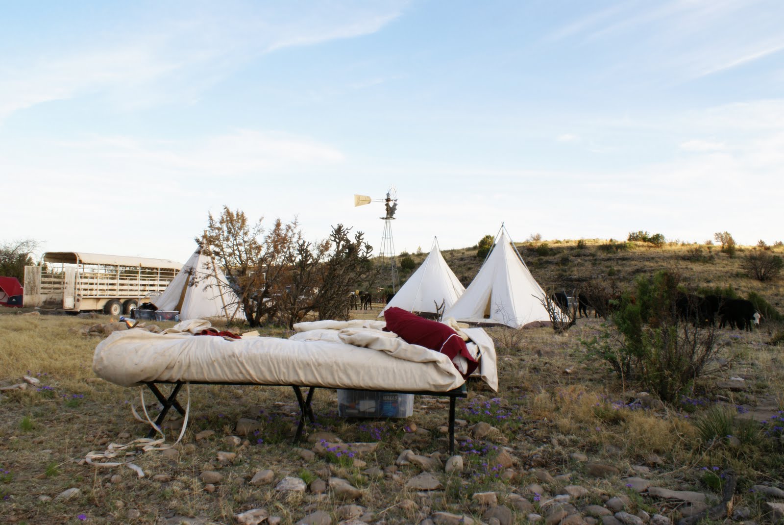Burntwell Guest Ranch: BURNT WELL'S TWO STYLES OF CATTLE DRIVES